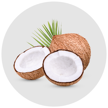 The Organic Forest - Personal Care, Health and Wellness